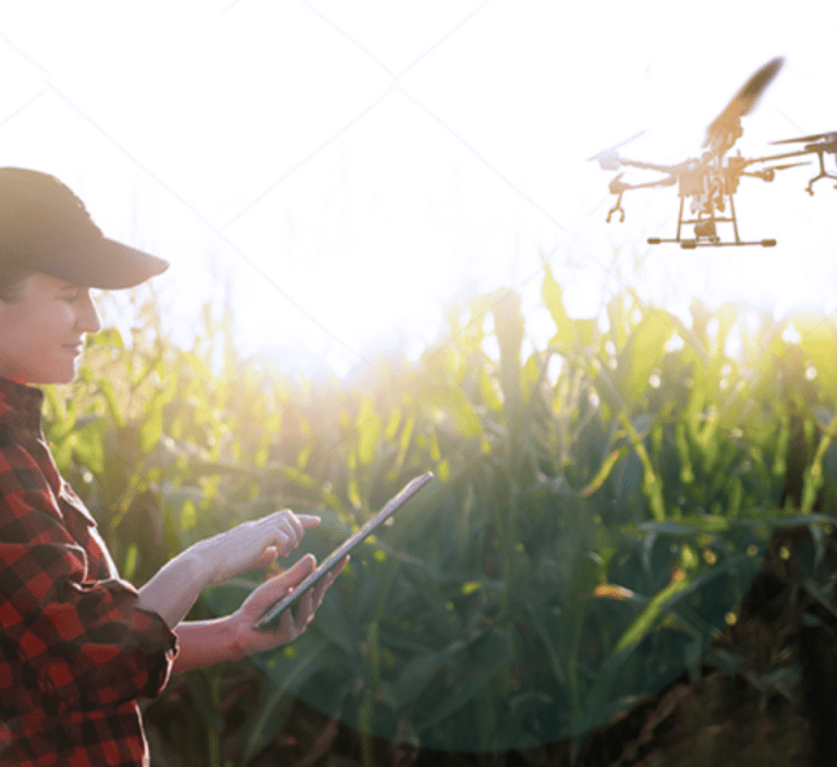 Anacle Data -IoT Solution Provider – Leader in Power – Where Innovation ...