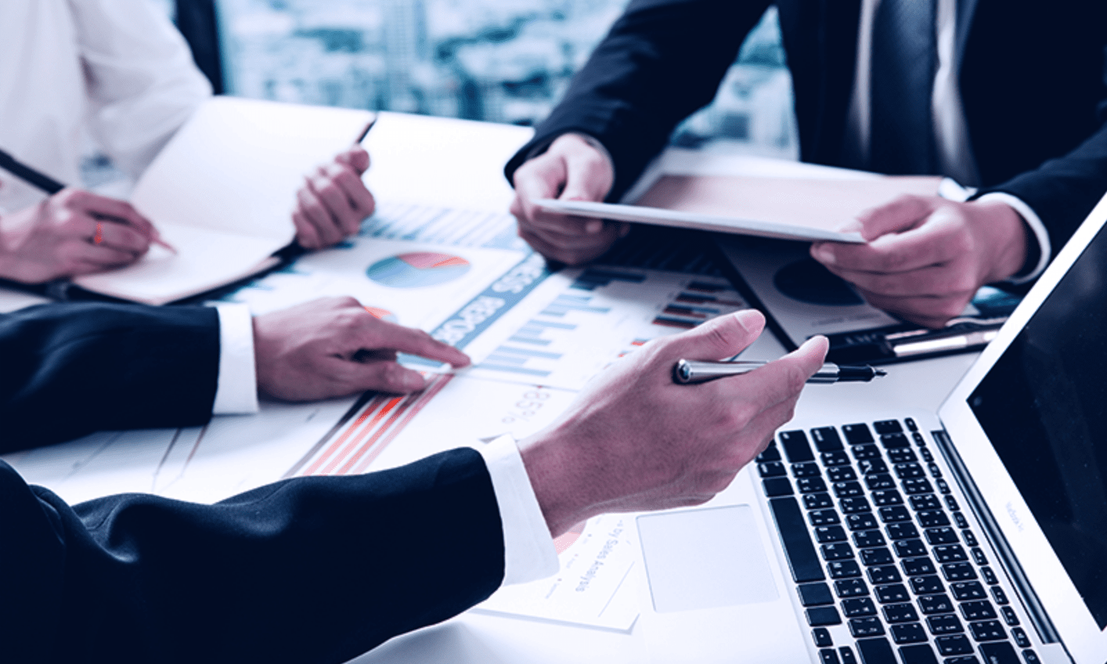 Core Capabilities – Anacle Data -IoT Solution Provider